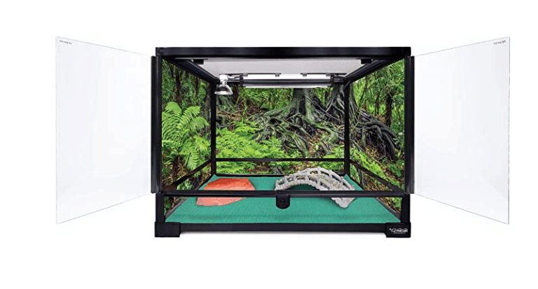 Best Tarantula Enclosures [Top 5 Options & Buyers Guide]