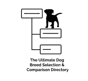 The Ultimate Dog Breed Finder, Selection & Comparison Directory » Pet ...