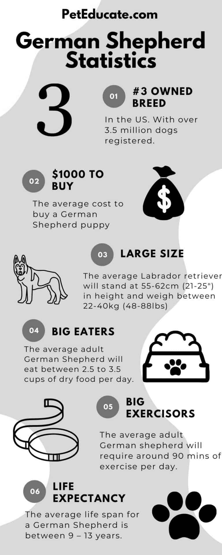 22 Revealing German Shepherd Statistics