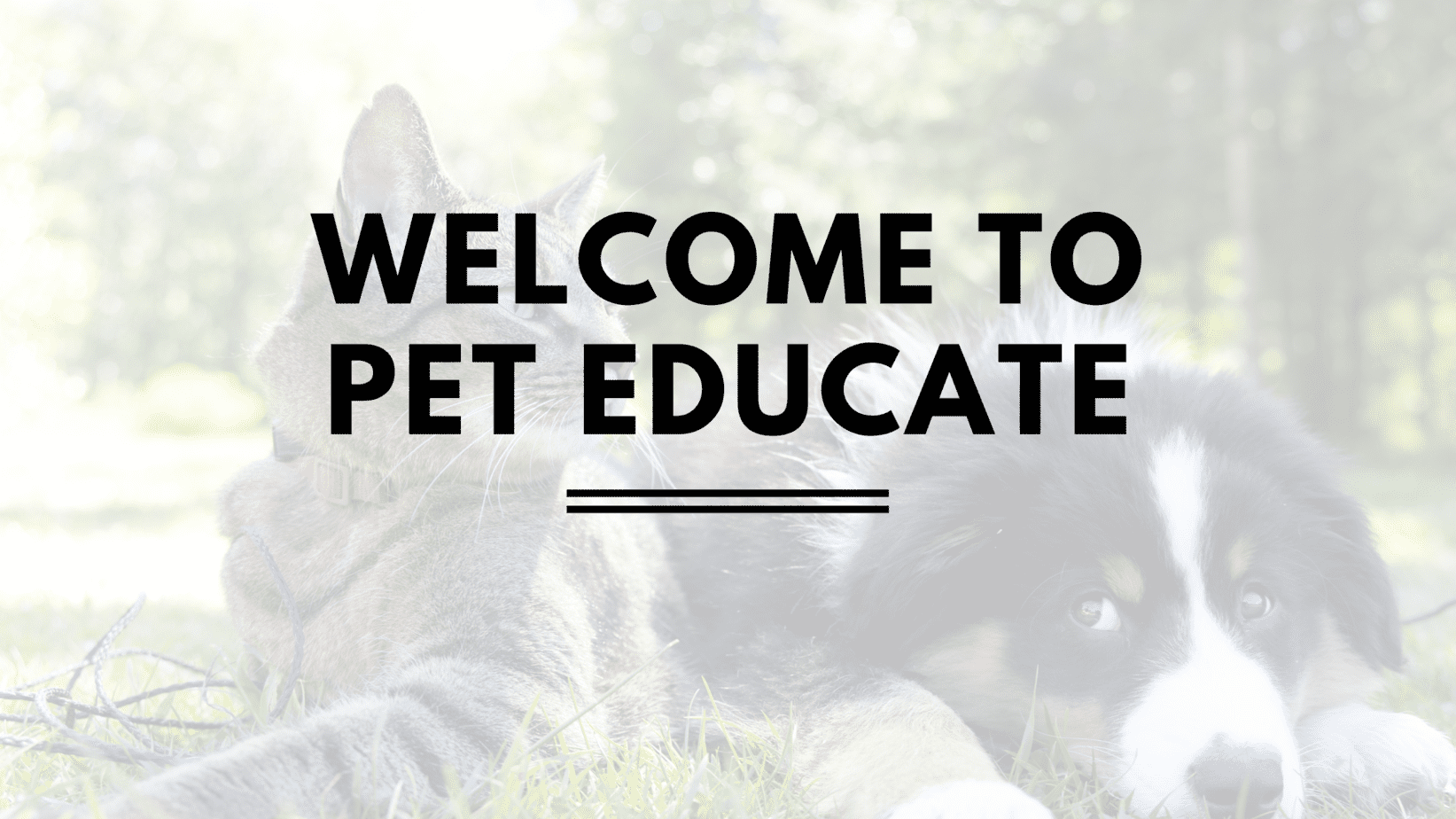 Pet Educate