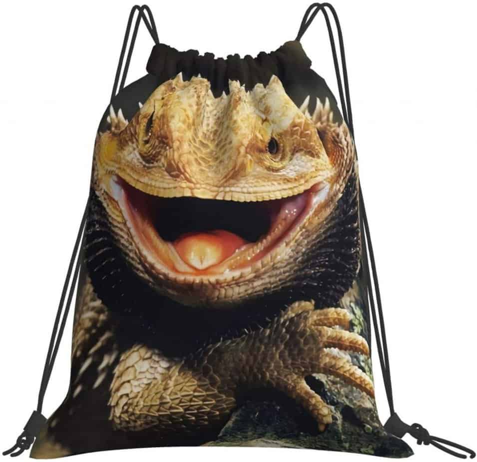 16 Of The Best Bearded Dragon Gifts You Can Buy