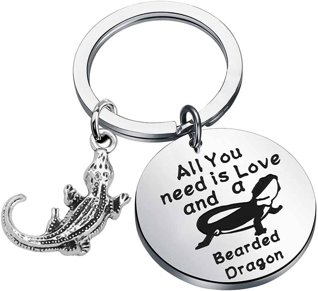 16 Of The Best Bearded Dragon Gifts You Can Buy