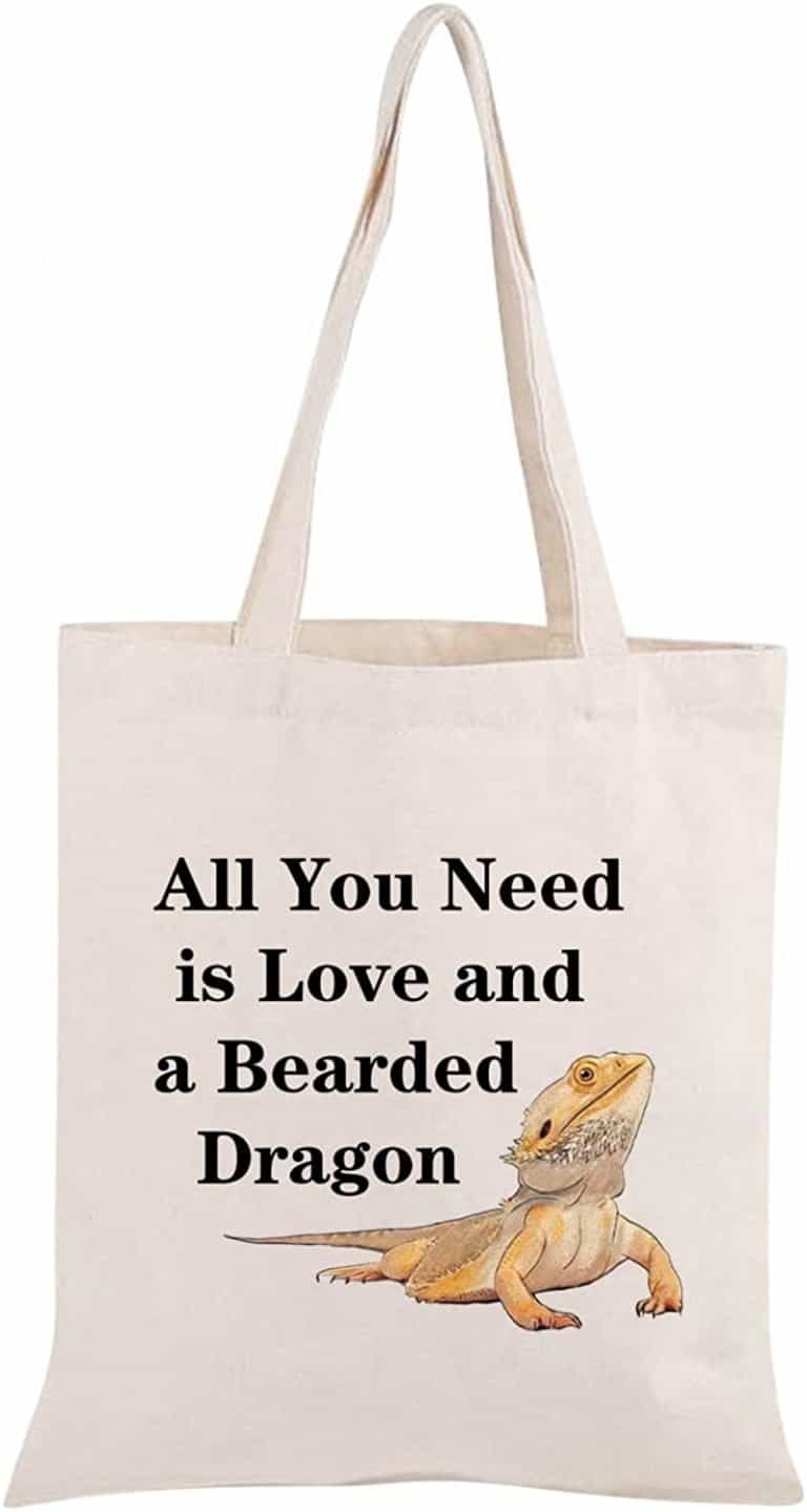 16 Of The Best Bearded Dragon Gifts You Can Buy
