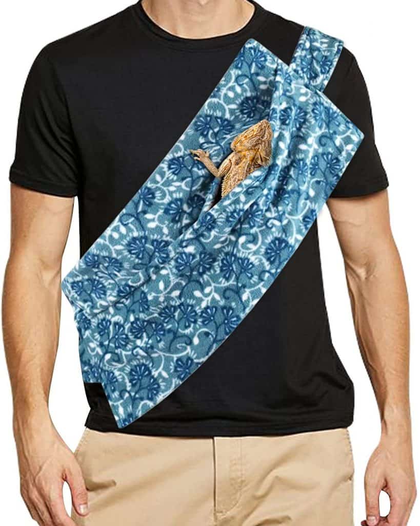 16 Of The Best Bearded Dragon Gifts You Can Buy