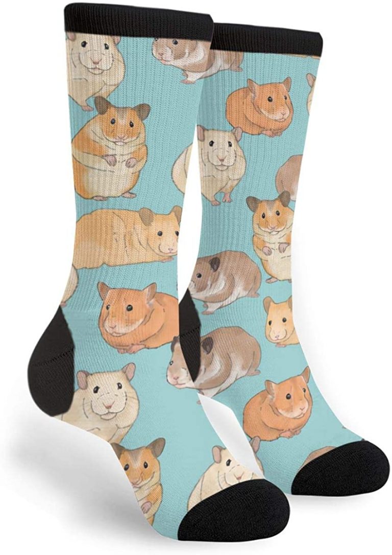 14 Essential Gifts For Hamster Lovers » Pet Educate