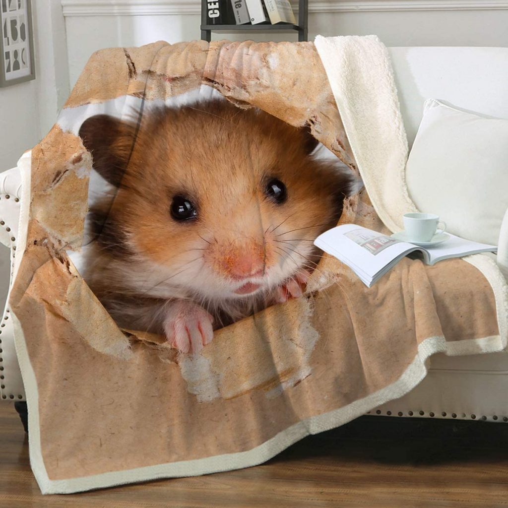 14 Essential Gifts For Hamster Lovers » Pet Educate