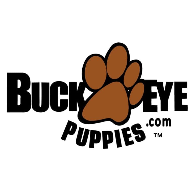 Buckeye Puppies Review [Should You Use Their Service?] » Pet Educate
