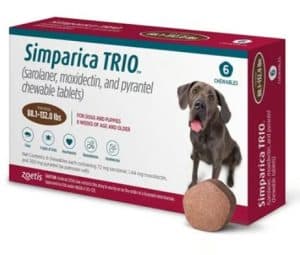 How Does Simparica Trio Work? » Pet Educate