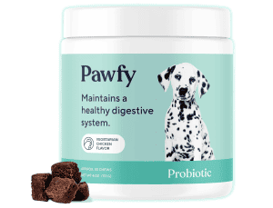 Pawfy Probiotic Review [Should You Try This Supplement?] » Pet Educate