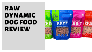 Raw Dynamic Dog Food Review [Is This The Best Option?]