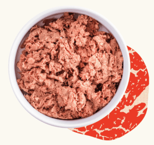 Raw Dynamic Dog Food Review [Is This The Best Option?]
