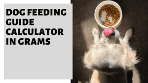 Dog Feeding Guide Calculator In Grams » Pet Educate